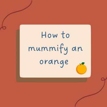 How To Mummify An Orange – archaeodiscovery.com
